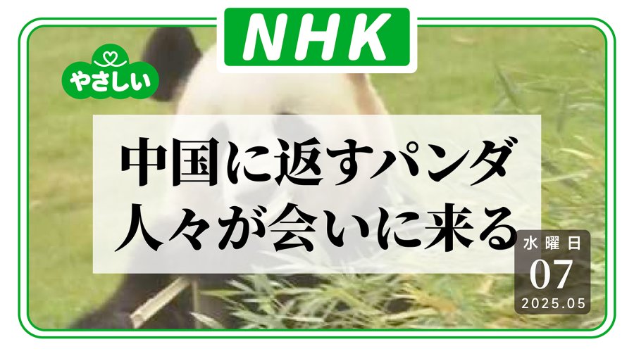 亚撒西NHK：日本休闲乐园4只大熊猫即将返华 - MOJi辞書