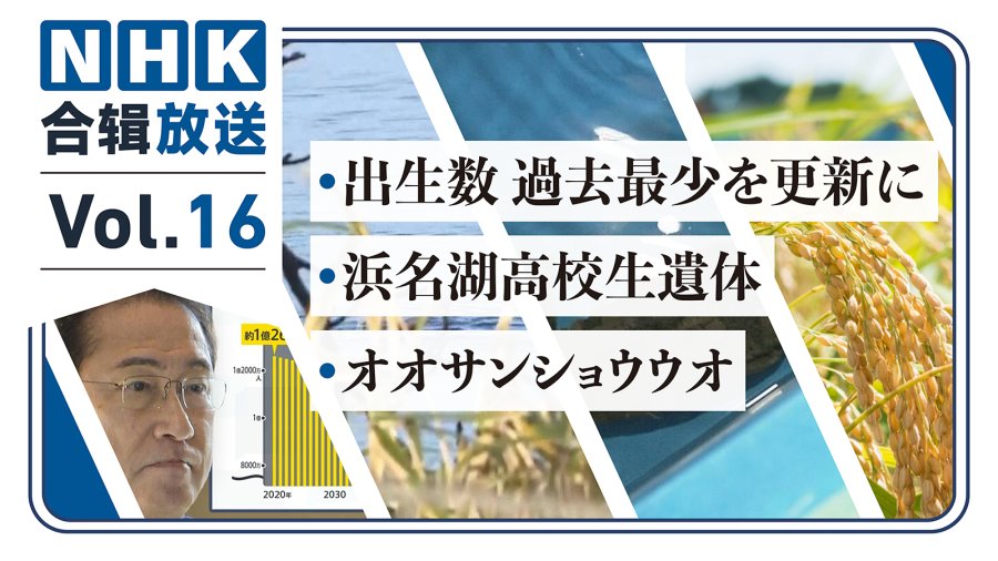 NHK周五合辑16丨日本新生儿数量再创史低！中国籍男尸惊现浜名湖？华南大鲵现身日本水族馆！ - MOJi辞書